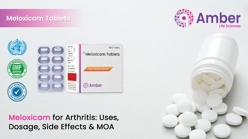 Meloxicam Tablets Exporter | Amber Lifesciences Pvt Ltd