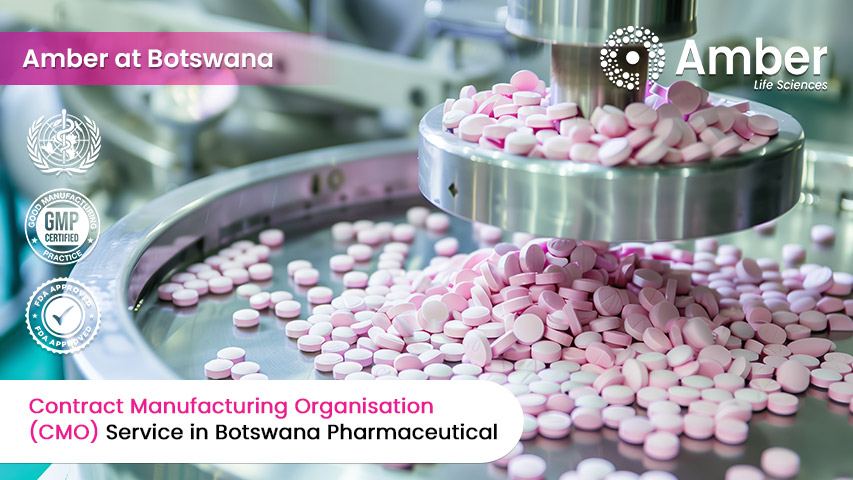 Contract Manufacturing Organization Service in Botswana