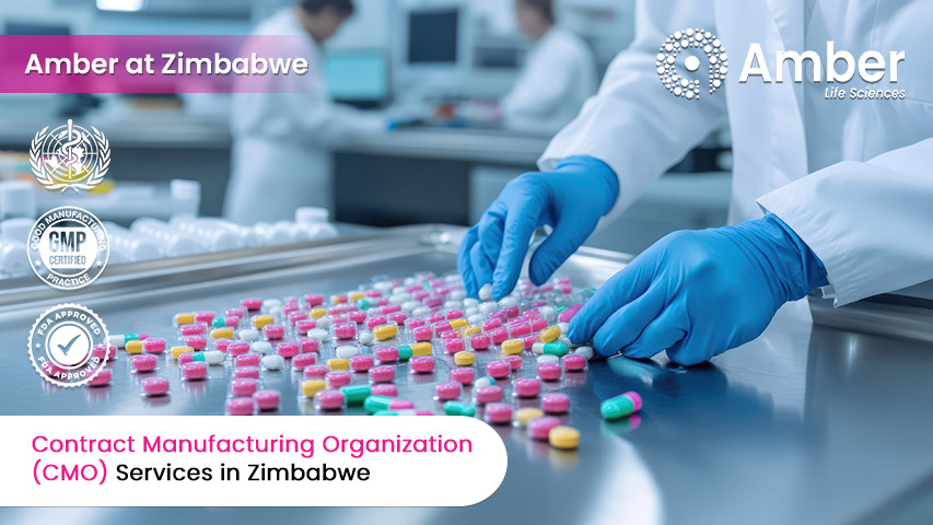 Contract Manufacturing Organization Services in Zimbabwe